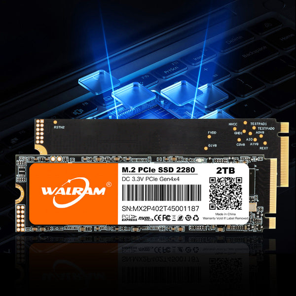 Walram SSDs and RAMs Manufacturer